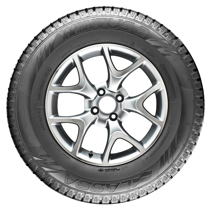 Зимски гуми LASSA 205/65 R15C Wintus 2 102/100R | Товарни гуми